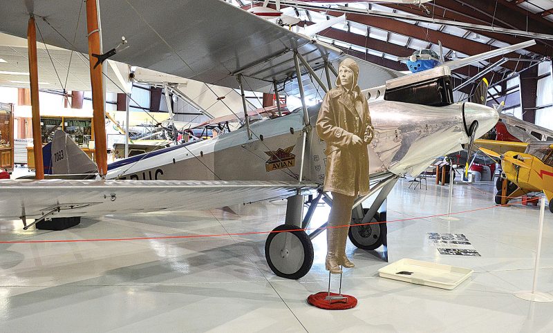 Rare planes Fleetwings Sea Bird and Avro Avian can be seen at air ...